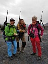 Leter etter sammenhengen mellom rypekyllinger og vinger