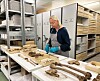Skjelettene til hvalfangere forteller en tydelig historie
